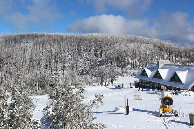 Lake Mountain Snow Private Tour from Melbourne - The Experience: A Detailed Look at the Itinerary