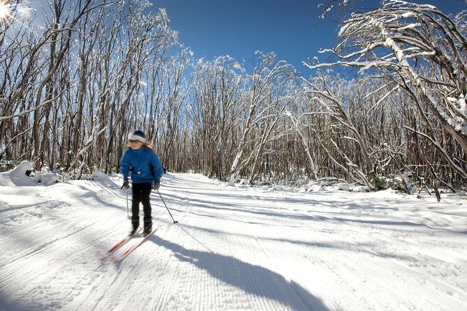 Lake Mountain Snow Trip including Yarra Valley Chocolaterie from Melbourne - In-Depth Breakdown of the Itinerary
