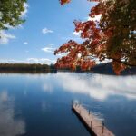 Lake Muskoka and Algonquin Small Group 1-Day Tour From Toronto - An In-Depth Look at the Day Trip