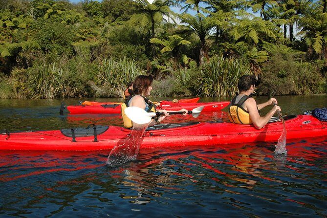Lake Rotoiti Guided Hot Pools Kayak Trip - From a Traveler’s Perspective