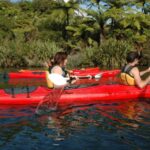 Lake Rotoiti & Hot Pools Guided Kayak - What to Expect from the Tour