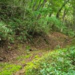 Lake Tachibana: Hike to a hidden lake! - An Authentic Escape into Nature