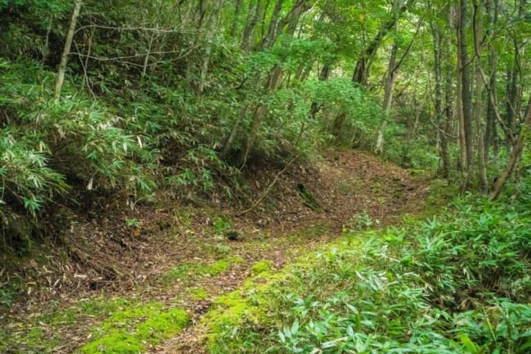 Lake Tachibana: Hike to a hidden lake! - An Authentic Escape into Nature