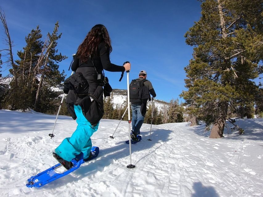 Lake Tahoe: Sunset Snowshoe Trek with Hot Drinks and Snacks - Practical Details: What You Need to Know