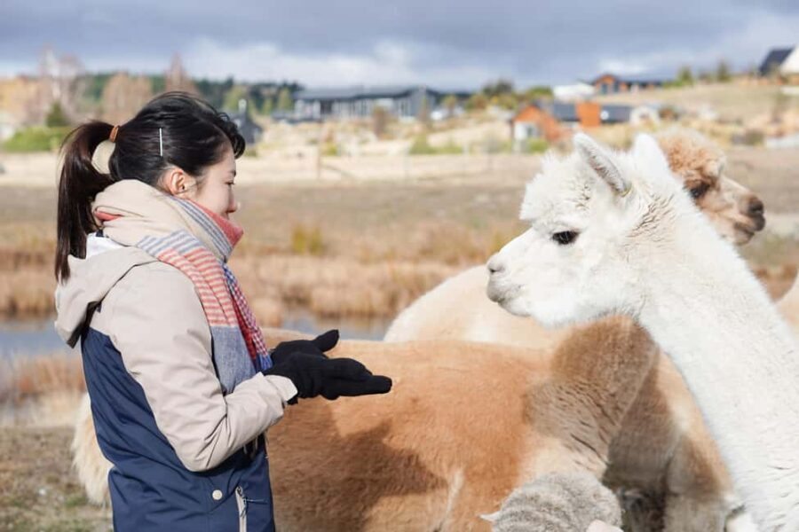Lake Tekapo High Country Farm Tour (Carbon Positive) - What The Tour Means for You