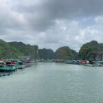 Lan Ha Bay Cat Ba Island Sightseeing Cruise 2 Days Tour - What This Tour Means for You