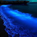 Lan Ha Bay Sunset and Plankton Bioluminescence Night Kayaking - Who Should Consider This Tour?