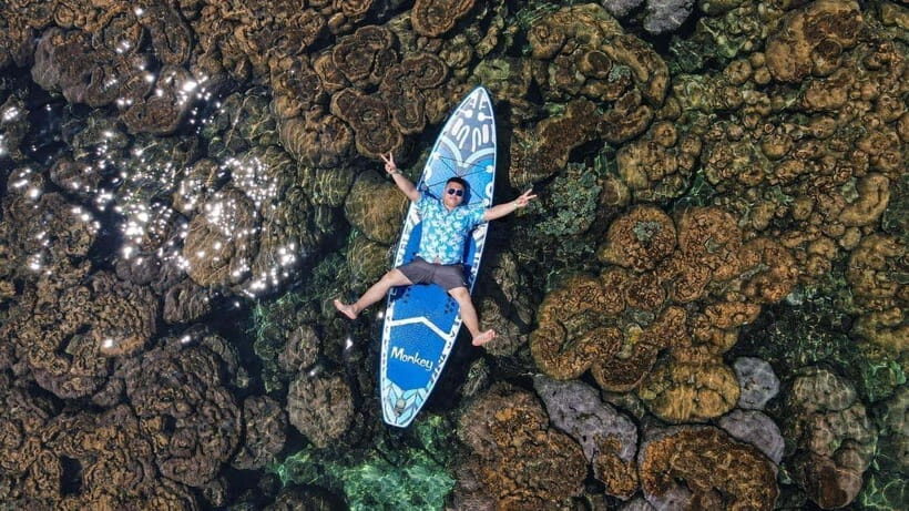 Lan Ha Bay Sunset Cruise Tour With Bioluminescent Kayaking - What’s Included and What to Consider