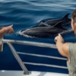 Lana'i Snorkel And Dolphin Quest with Maui Turtle Spot Tour - Final Thoughts: Is It Worth It?