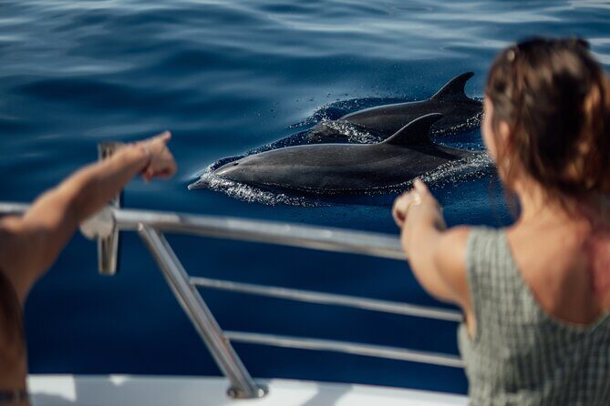 Lana'i Snorkel And Dolphin Quest with Maui Turtle Spot Tour - Final Thoughts: Is It Worth It?
