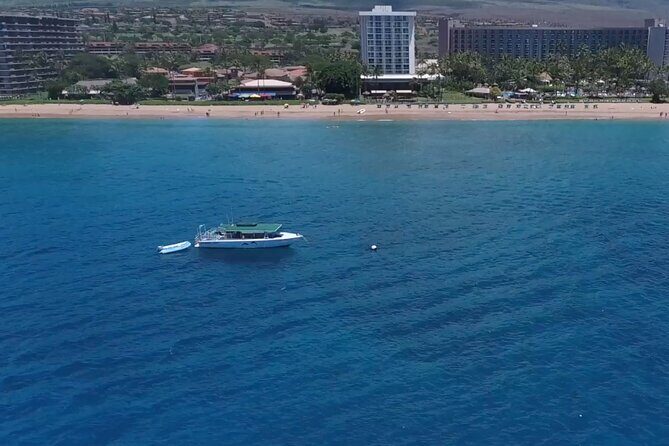 Lanai Snorkeling Half Day with Sea Scooter - From Start to Finish: What to Expect