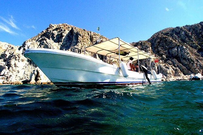 Land's End Sightseeing Boat Tour in Los Cabos - Practical Tips for Making the Most of the Tour