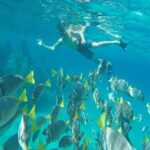 Land's End & Snorkel Tour in a Glass Bottom Boat (VisitA Cabo) - Practical Considerations