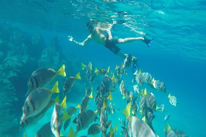 Land's End & Snorkel Tour in a Glass Bottom Boat (VisitA Cabo) - Practical Considerations