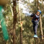 Lane Poole Park Dwellingup - Junior Tree Ropes & Ziplining - What to Expect During the Tour