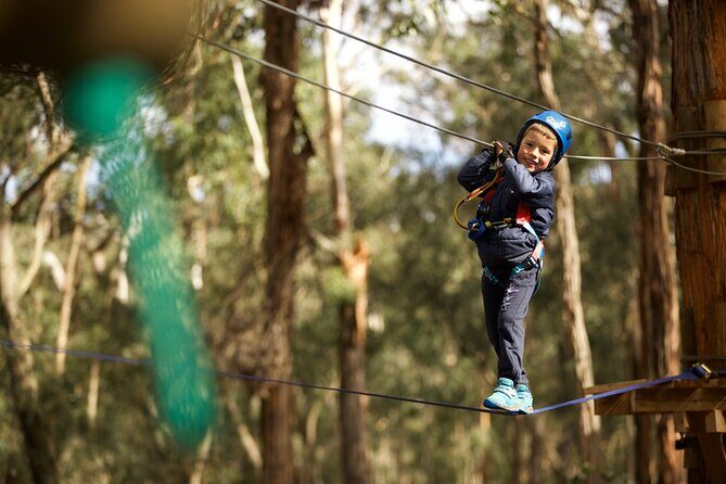 Lane Poole Park Dwellingup - Junior Tree Ropes & Ziplining - What to Expect During the Tour