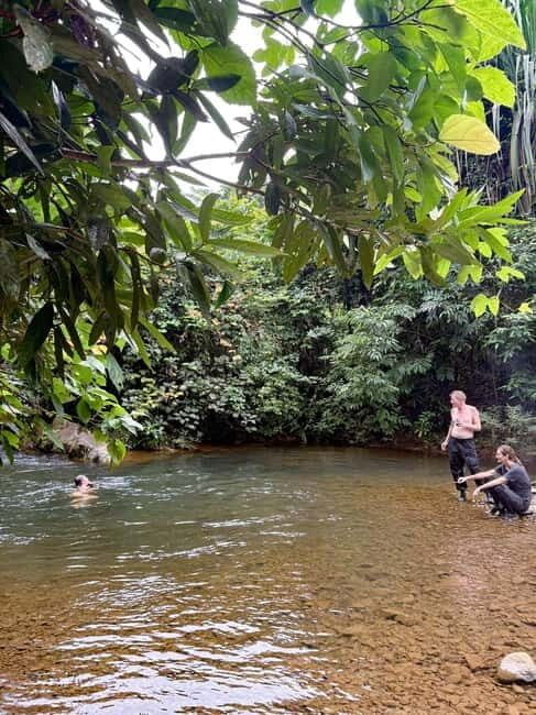 Langkawi Jungle Trekking & Live Cooking Adventure - What To Expect: A Step-by-Step Look