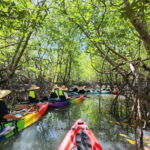 Langkawi : Kilim Mangrove Boat & Fun Kayak Tour with Lunch - A Closer Look at the Langkawi Mangrove & Kayak Tour
