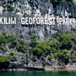 Langkawi Mangrove Boat Tour at Kilim Geoforest Park - Possible Considerations