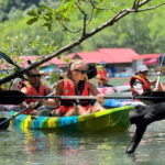 Langkawi: Mangrove Kayaking by Farly - The Morning Kayaking Adventure