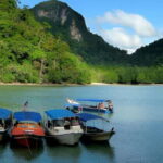 Langkawi: Mangrove Tour with Kilim Geoforest Park & Bat Cave - Itinerary Breakdown: What You’ll Actually Do