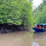 Langkawi Signature Mangrove Discovery Boat Tour (Shared) - Who Will Appreciate This Tour?