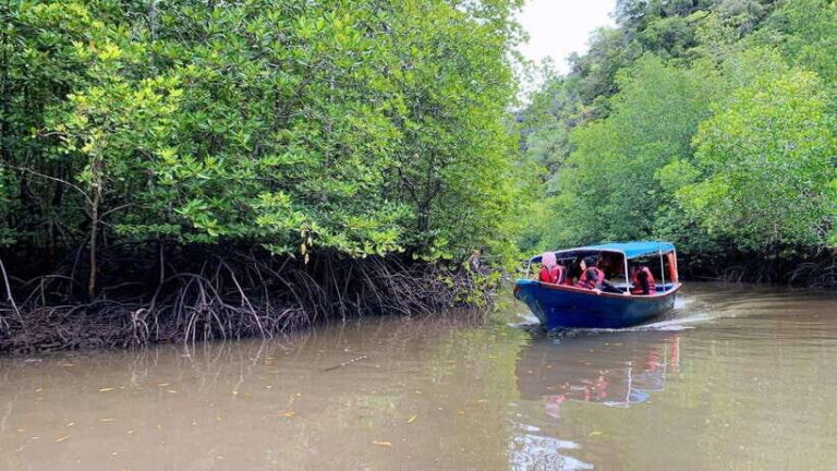 Langkawi Signature Mangrove Discovery Boat Tour (Shared) - Who Will Appreciate This Tour?
