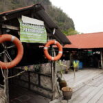 Langkawi Tanjung Rhu Mangrove Private Boat Tour 2 Hours - The Experience Itself