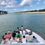 Lantau Island: Pink Dolphin Watching from Hong Kong - The Sum Up