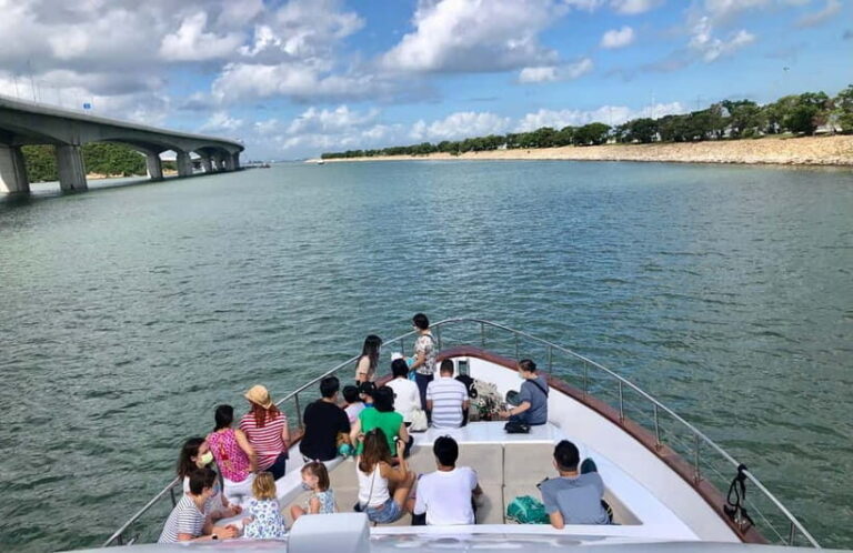 Lantau Island: Pink Dolphin Watching from Hong Kong - The Sum Up