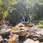 Largest zipline/Cave & Biausevu waterfall Discovery tour - What’s this tour all about?