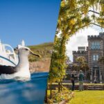 Larnach Castle & Otago Wildlife Cruise from Dunedin - Understanding the Value