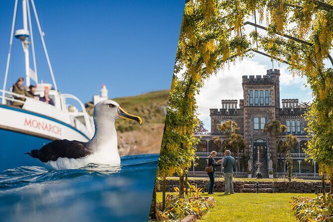 Larnach Castle & Otago Wildlife Cruise from Dunedin - Understanding the Value