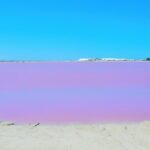 Las Coloradas Amazing Pink Lake & Rio Lagartos from Tulum - Practical Aspects & What You Should Know