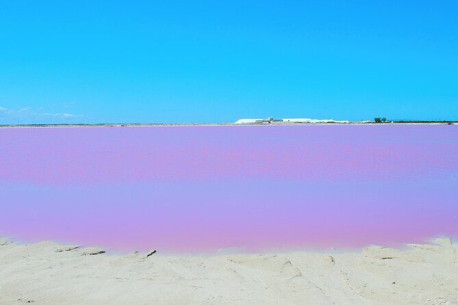 Las Coloradas Amazing Pink Lake & Rio Lagartos from Tulum - Practical Aspects & What You Should Know