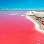 Las Coloradas and Rio Lagartos Tour with All Inclusive - The Bottom Line: Who Is This Tour For?