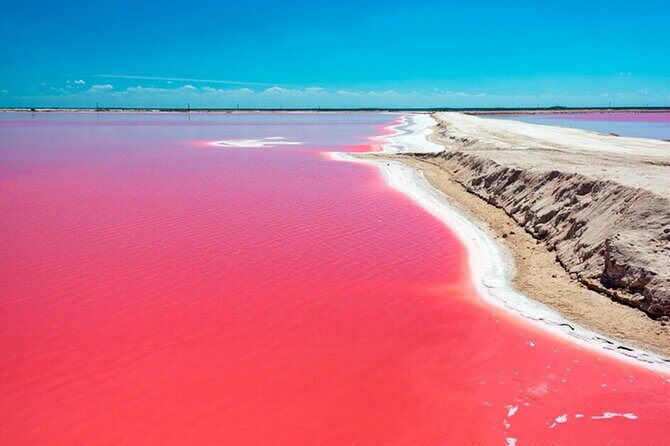 Las Coloradas and Rio Lagartos Tour with All Inclusive - The Bottom Line: Who Is This Tour For?