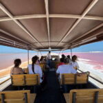 Las Coloradas: Pink Lakes Safari Tour - Key Points