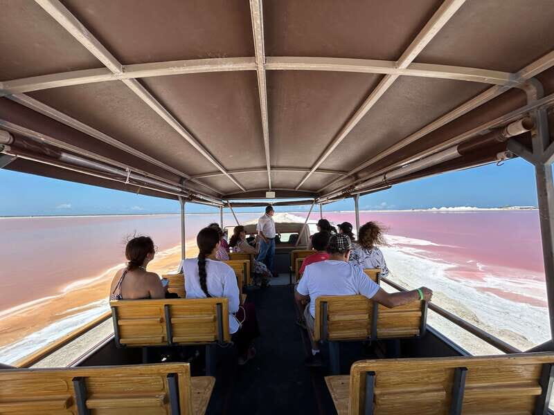 Las Coloradas: Pink Lakes Safari Tour - Key Points