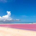 Las Coloradas & Rio Lagartos, Beautiful Eco Adventure from Tulum City - What Do the Reviews Say?
