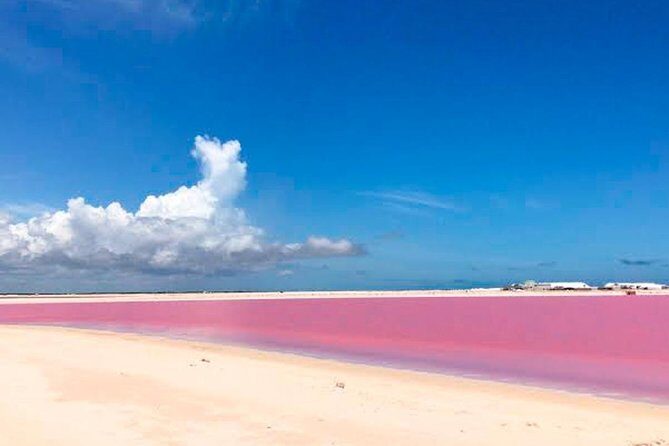 Las Coloradas & Rio Lagartos, Beautiful Eco Adventure from Tulum City - What Do the Reviews Say?