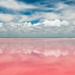 Las Coloradas Tour from Cancun and Playa del Carmen - Who Should Consider This Tour?