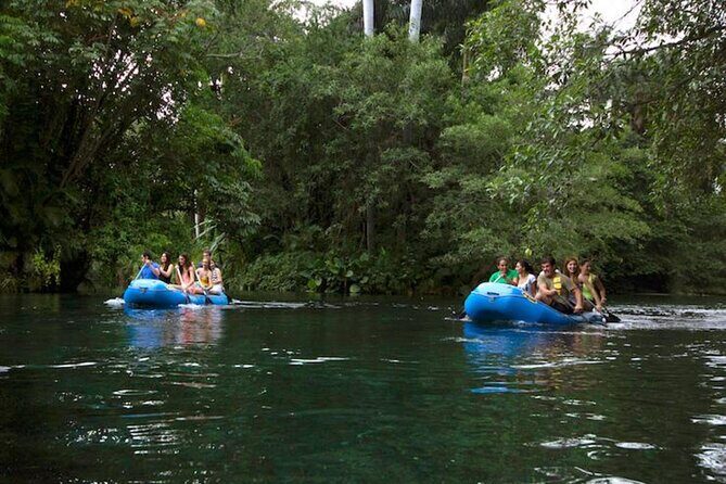 Las Estacas Natural Park Private Tour from Mexico City - What Past Travelers Say