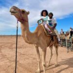 Las Vegas: Desert Camel Ride - Who Should Consider This Tour?