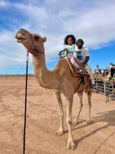 Las Vegas: Desert Camel Ride - Who Should Consider This Tour?