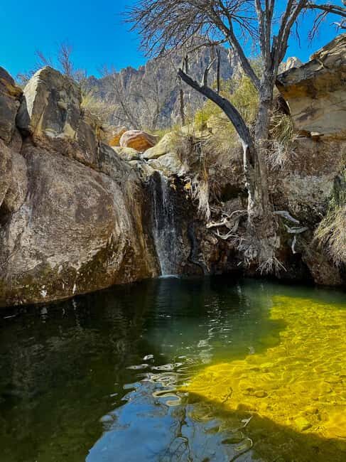 Las Vegas: Family Friendly Guided Hike to Emerald Falls - Why This Tour is Worth It