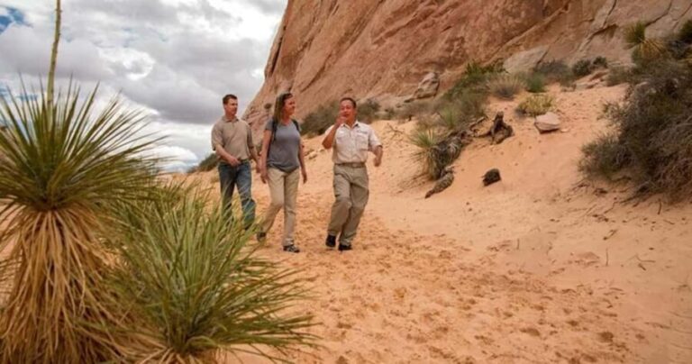 Las Vegas: Hoover Dam and Valley of Fire Combo Tour - Valley of Fire: A Natural Masterpiece