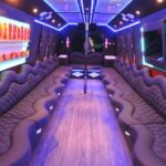 Las Vegas Karaoke Party Bus Private Tour - A Closer Look at the Tour Experience