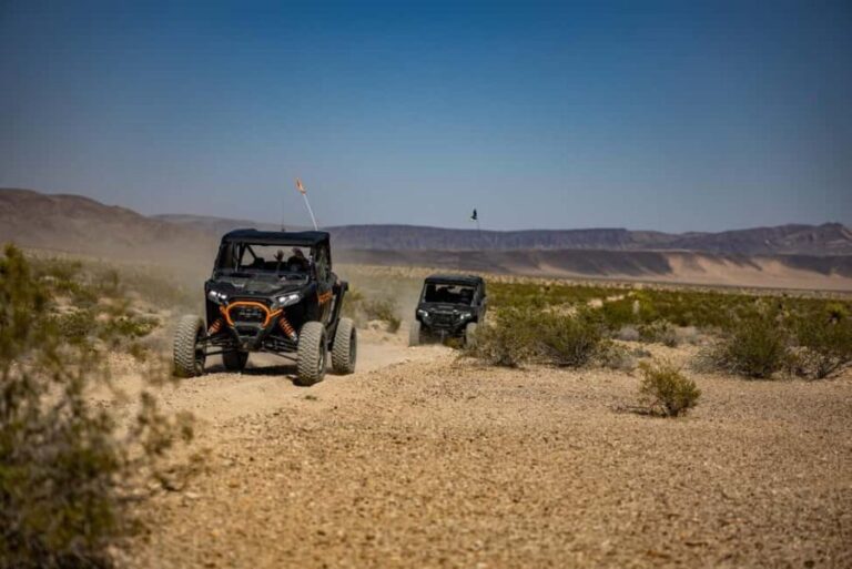 Las Vegas Mojave Off Road Adventure |Guided Tour-Let's Ride! - Final Thoughts: Who Will Love This Tour?