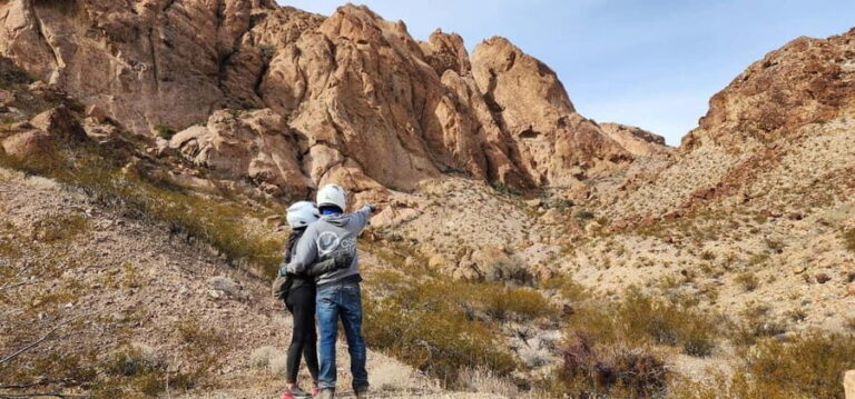 Las Vegas: Ultimate Adventure RZR Tour with Lunch - What’s Included and What Costs Extra